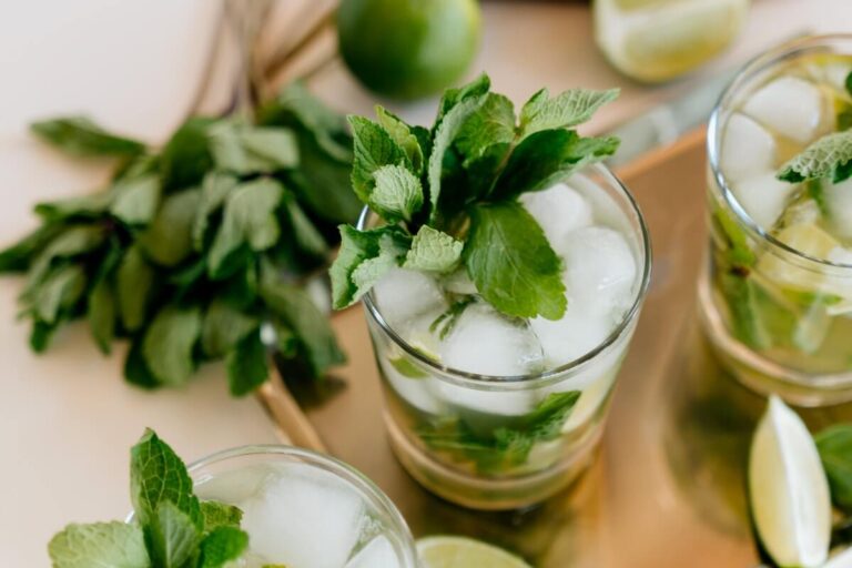 Mojito Cocktail Recipe (with Easy Step-by-Step Video) | Crimson Cocktail